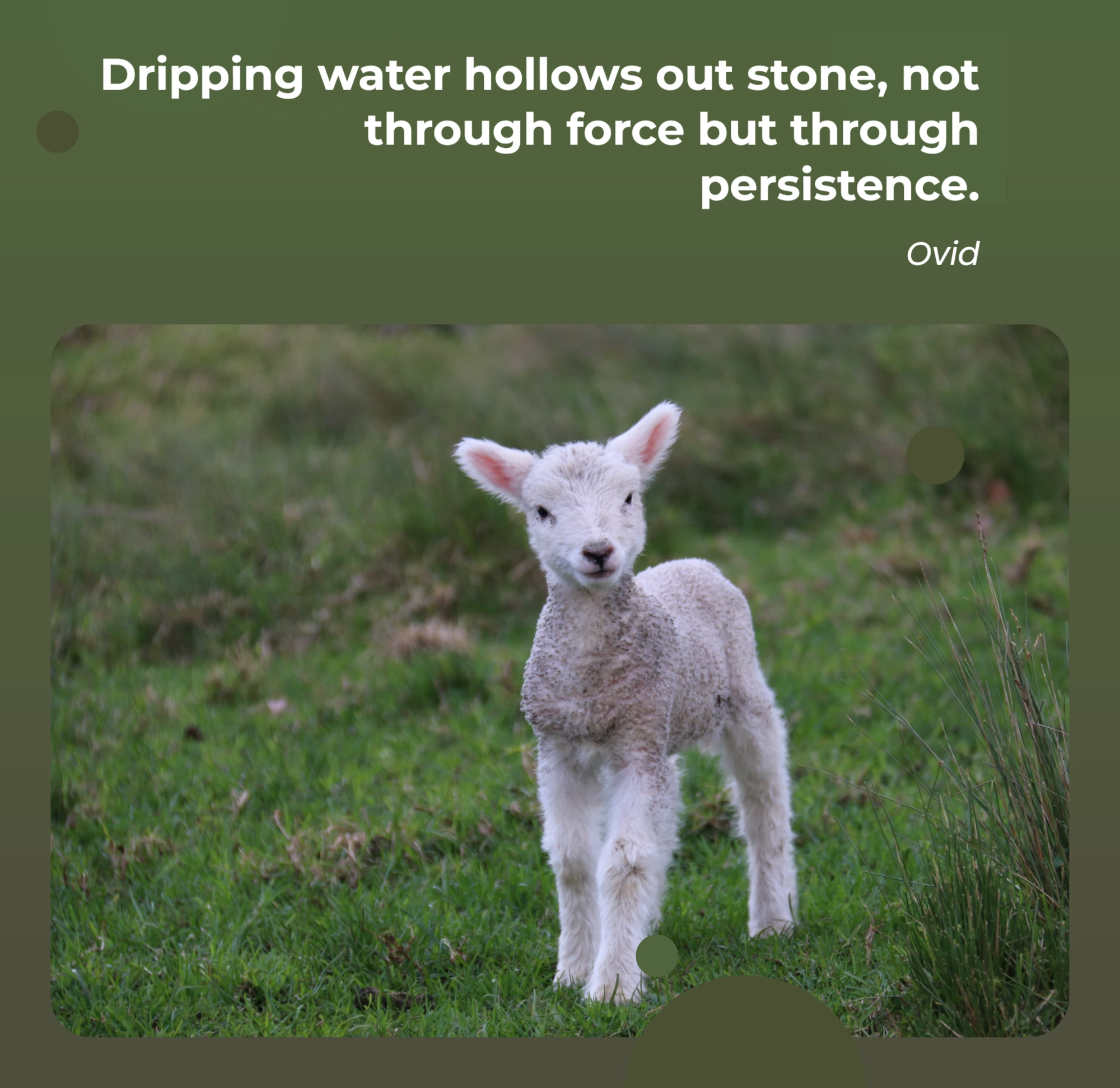 Ovid Quote: “Dripping water hollows out stone, not through force but ...