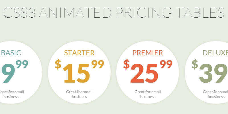 CSS3 animated Pricing tables | Bypeople