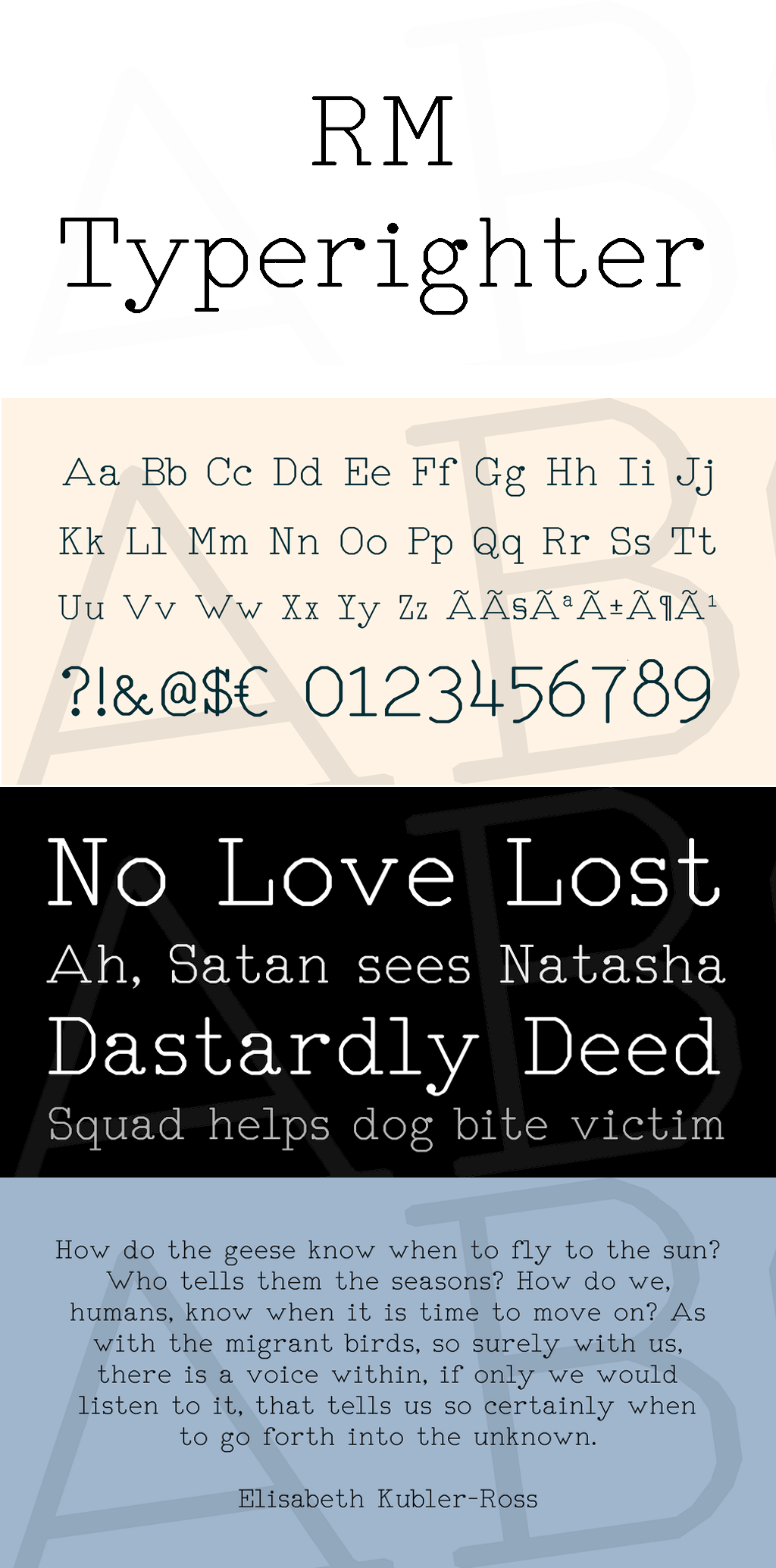RM Typerighter Font | Bypeople